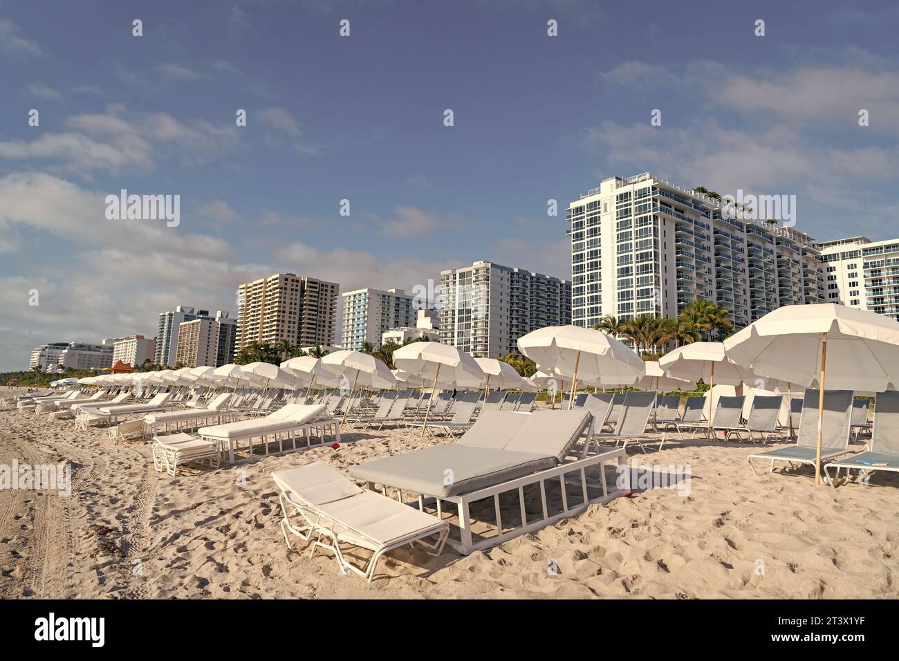 sunbed at summer beach vacation in miami. photo of sunbed at summer ...