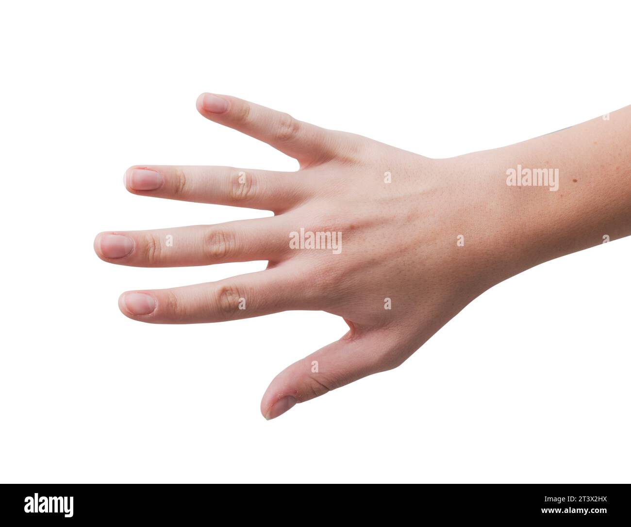 Young open female hand showing fingers isolated Stock Photo - Alamy