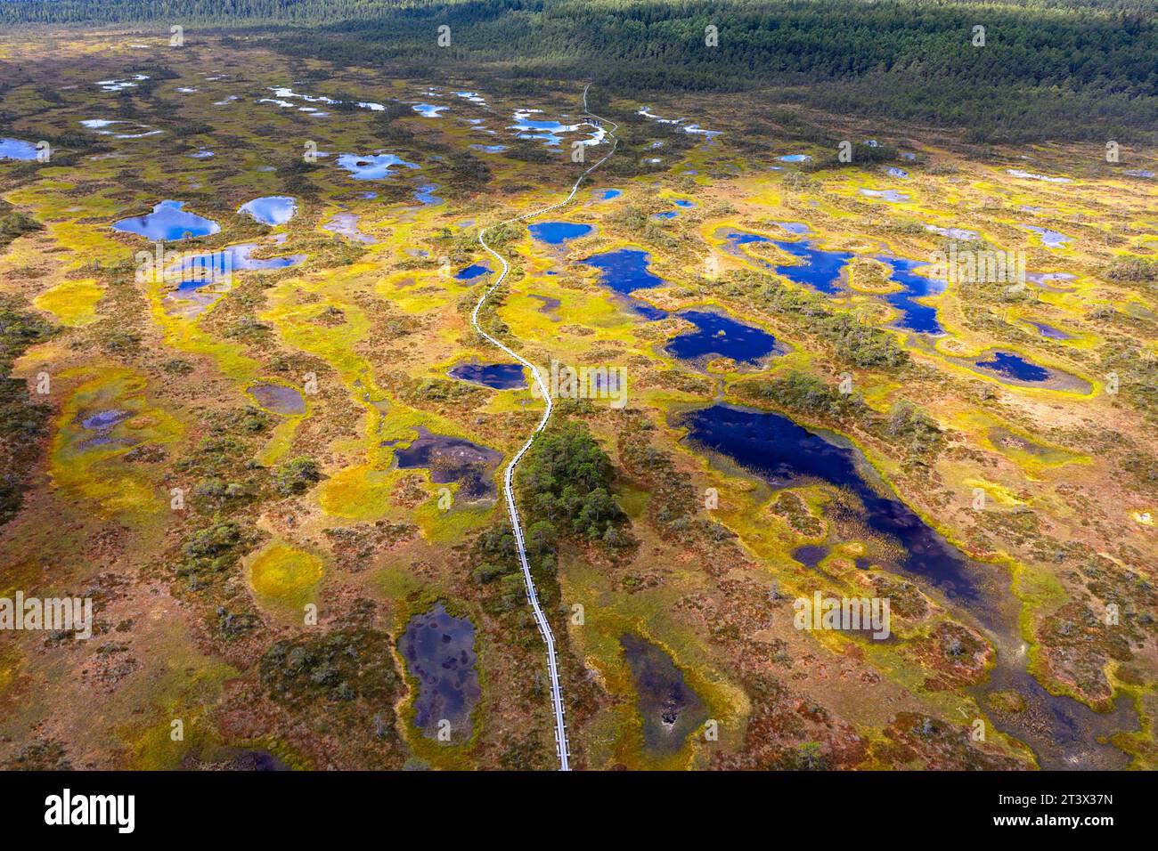 Spectacular aerial view of a Kakerdaja bog hiking trail surrounded with ...