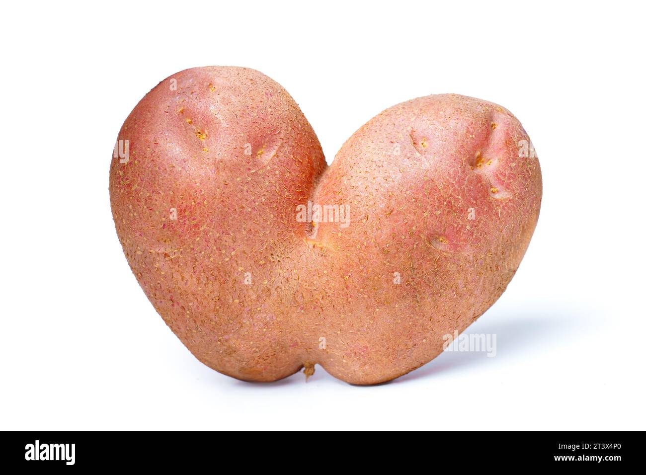 Close-up side view of a large raw heart-shaped potato isolated on white ...