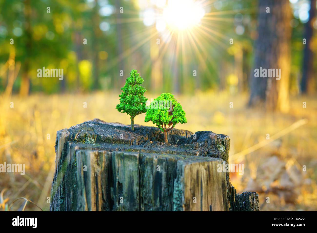 Artificial trees pollution hi-res stock photography and images - Alamy