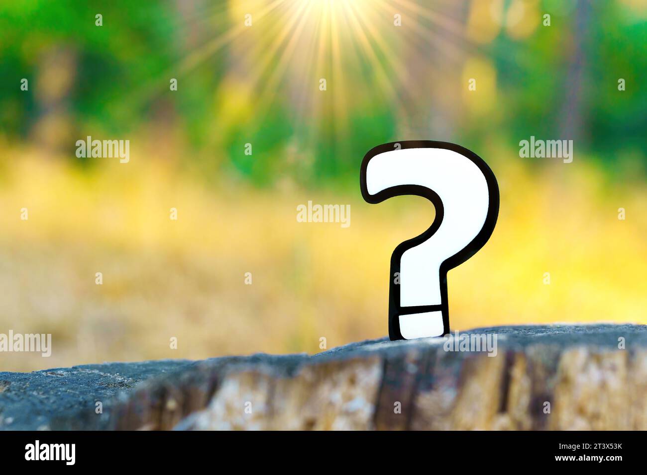 Close-up of a question mark sign on a forest stump. Environmental ...
