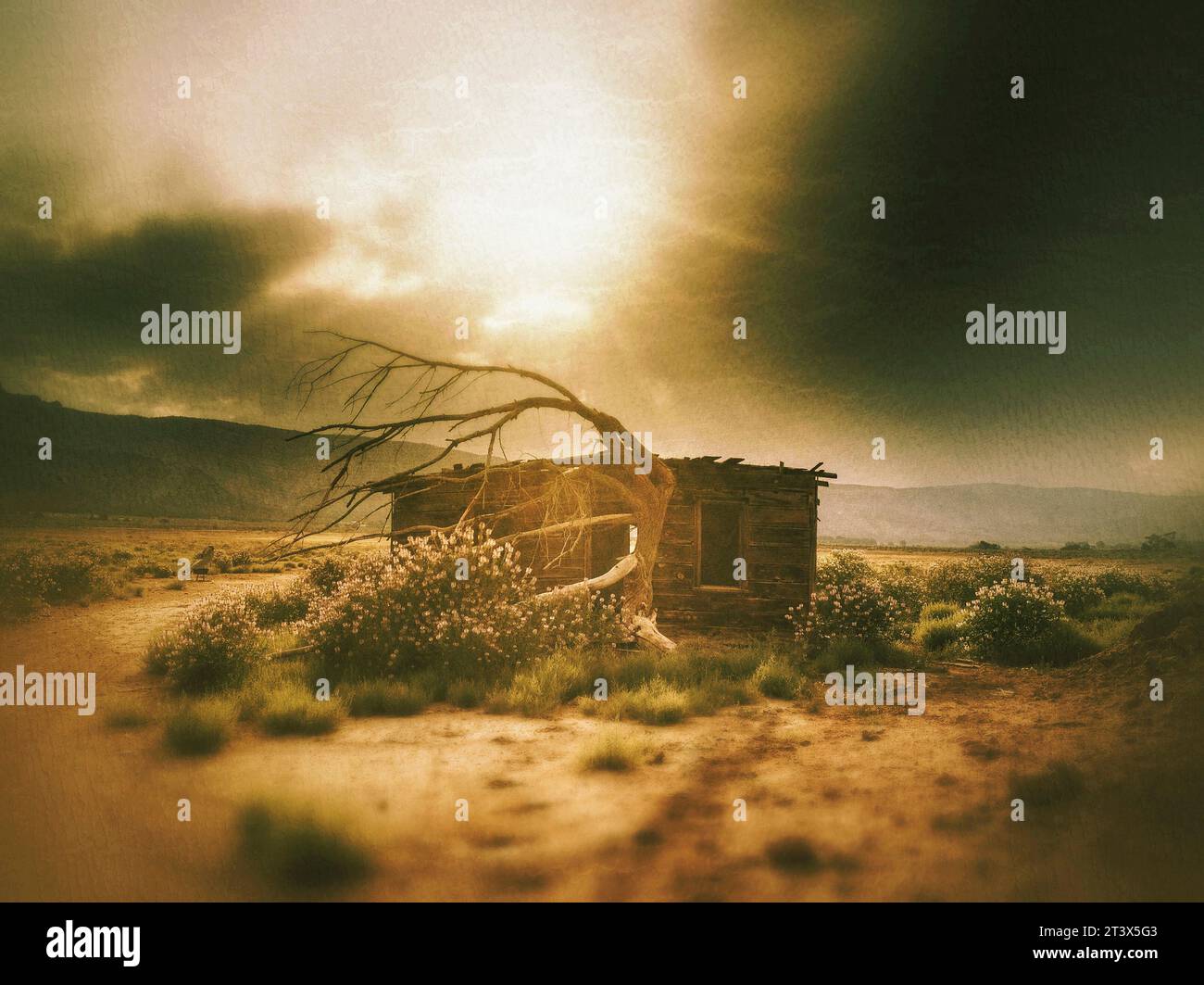 Old cabin and tree in Paradox Valley Colorado Stock Photo - Alamy