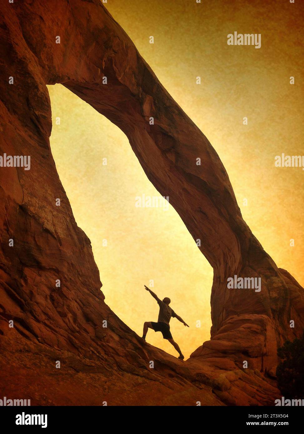 Joy richardson hi-res stock photography and images - Alamy