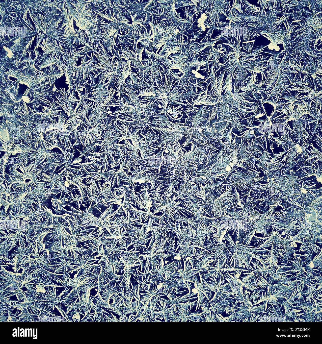 Ice crystals.PLEASE NOTE: This image is part of Aurora's myPhone ...