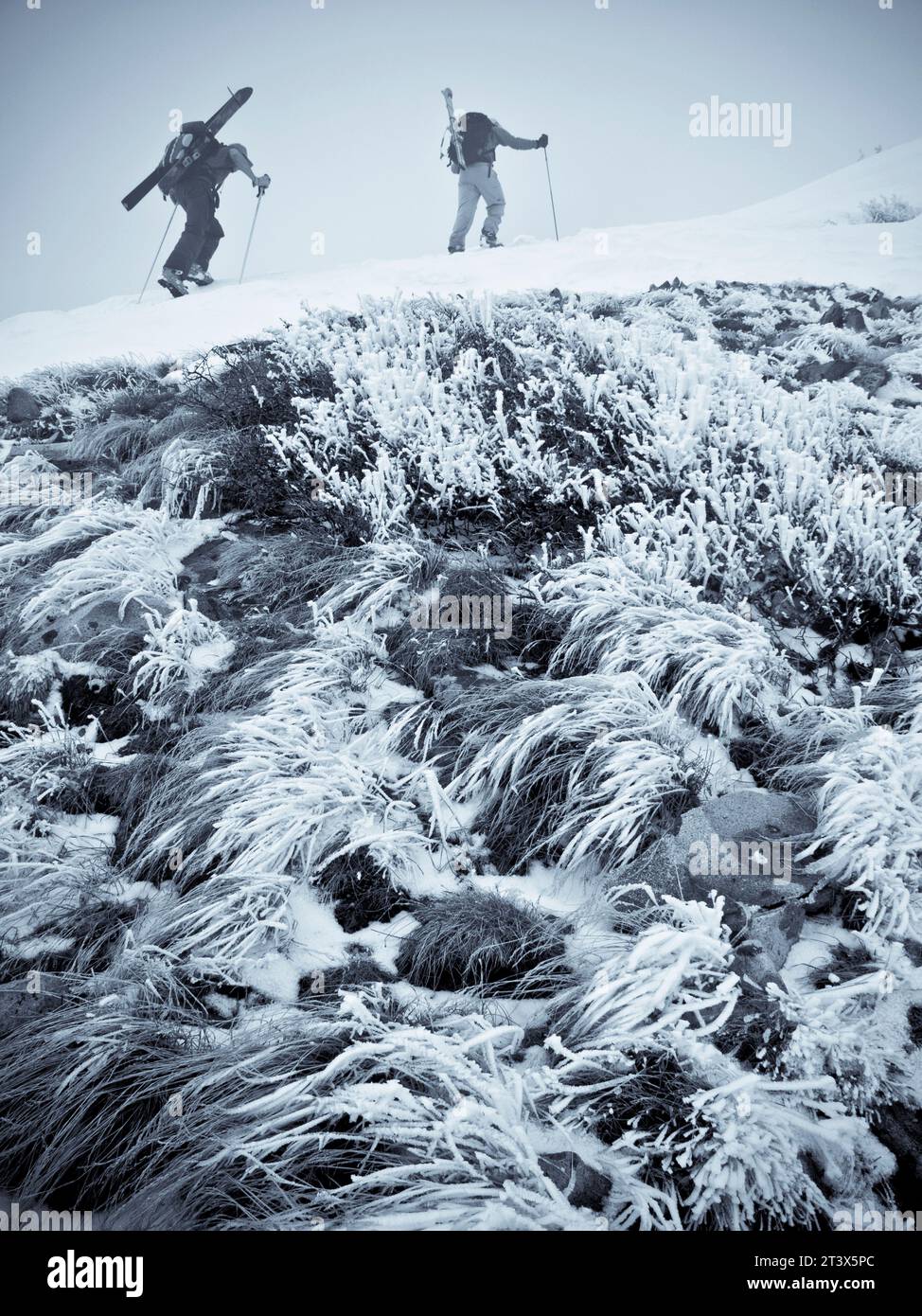 Two people skiing in the snowy mountains hi-res stock photography and ...