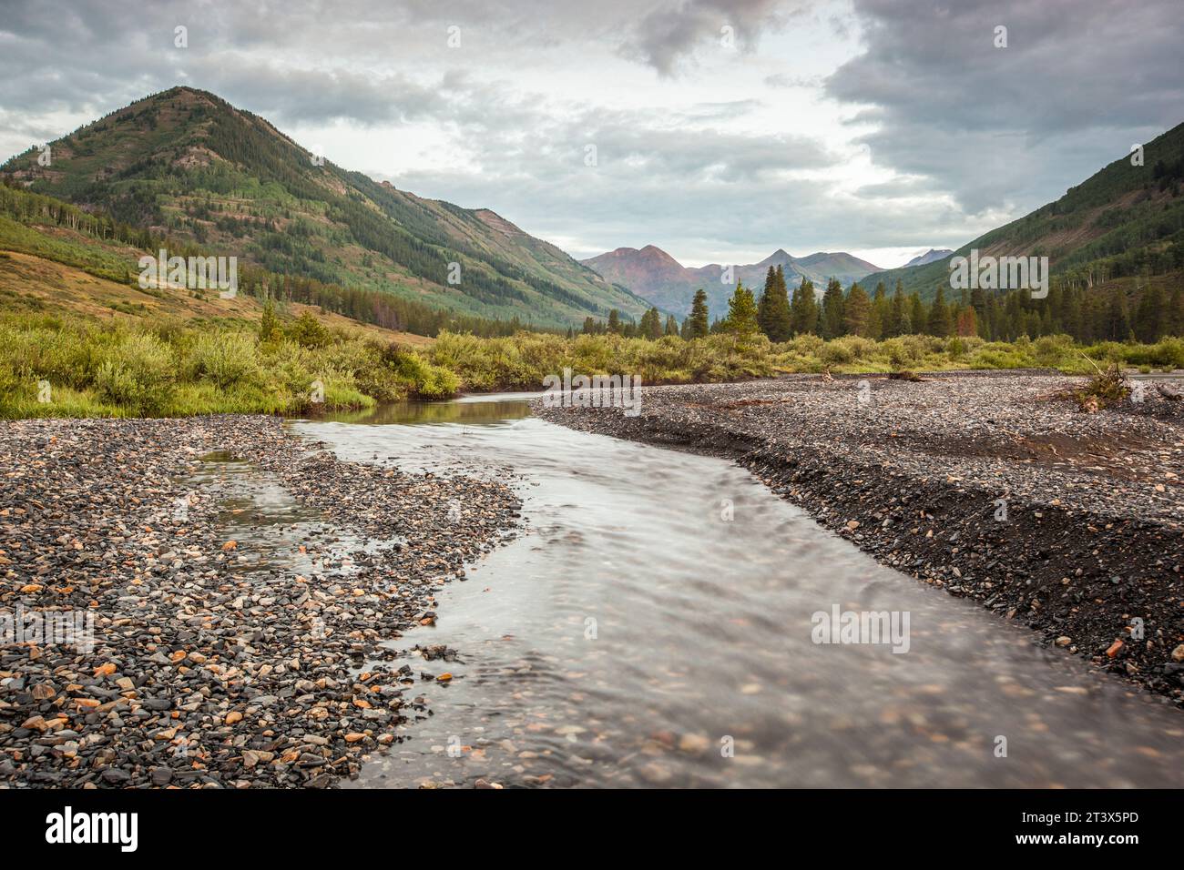 Mountain stream in colorado forest hi-res stock photography and images ...