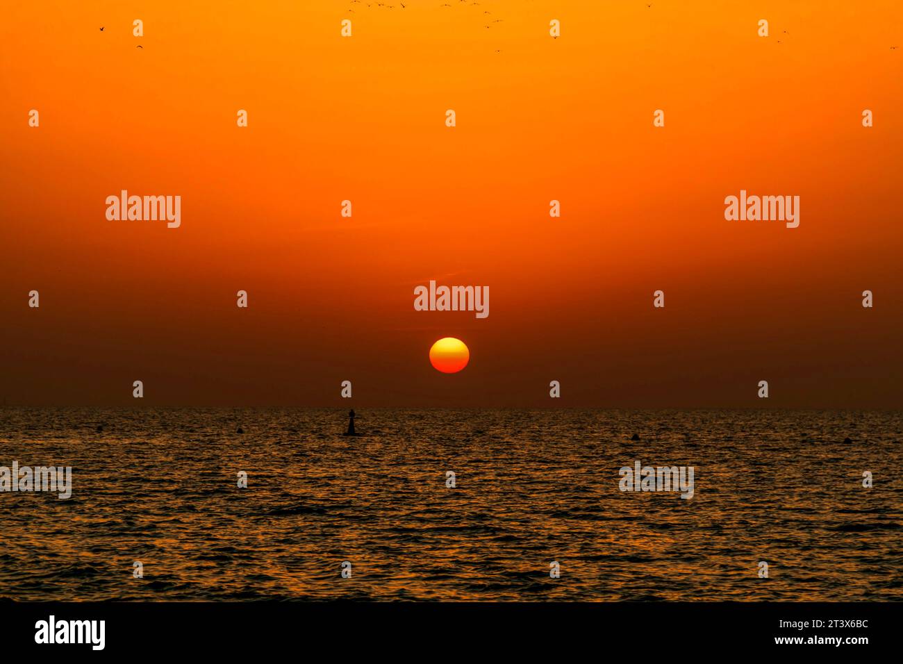 Beautiful Golden hour sunset from Dubai beach Stock Photo - Alamy