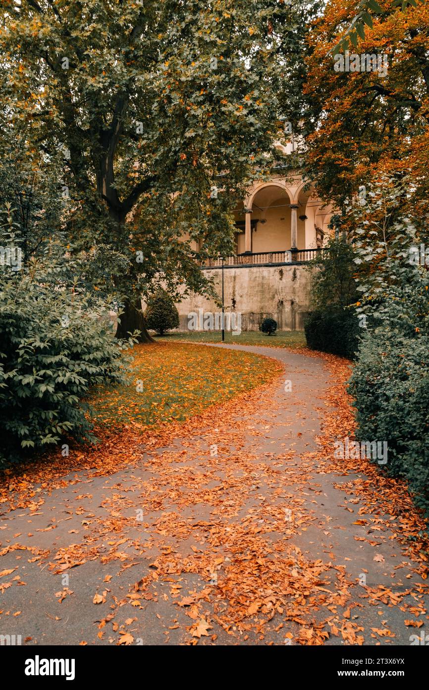 Autumn park in Prague, red foliage on the paths Stock Photo - Alamy