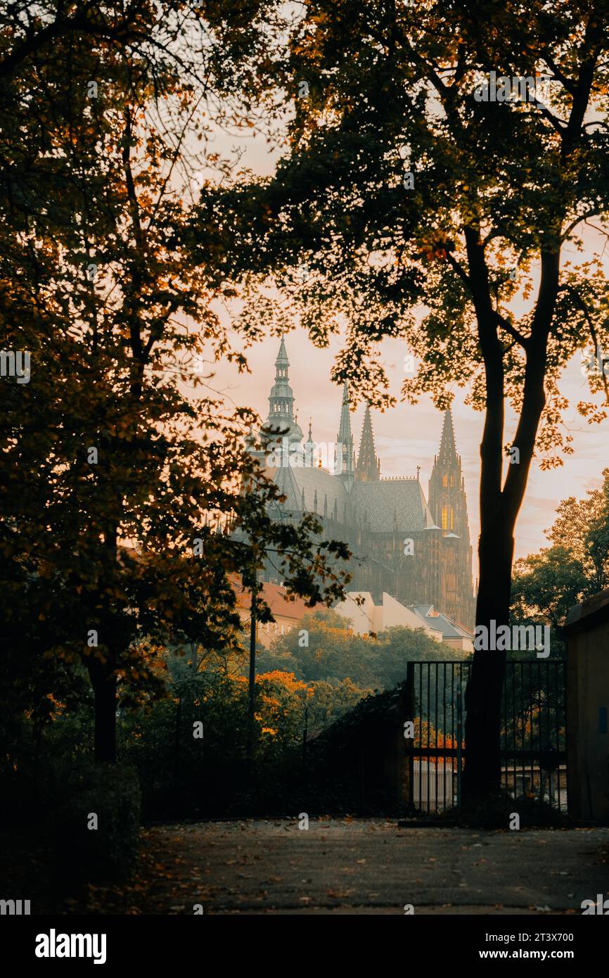 Gothic castle among autumn foliage in Prague Stock Photo - Alamy