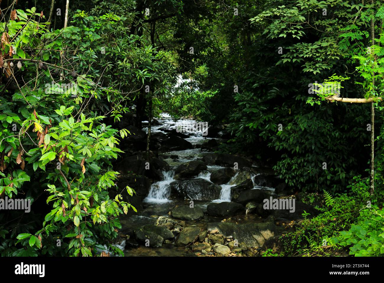 Beautiful waterfalls view on Kerala road highways Stock Photo - Alamy