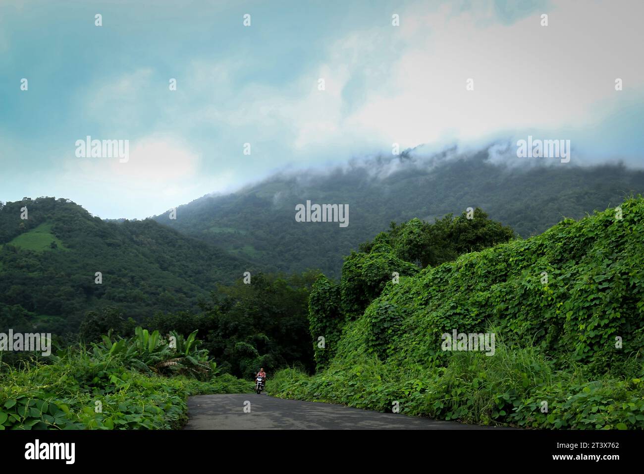 Beautiful nature scenery click from Wayanad Kerala Stock Photo - Alamy