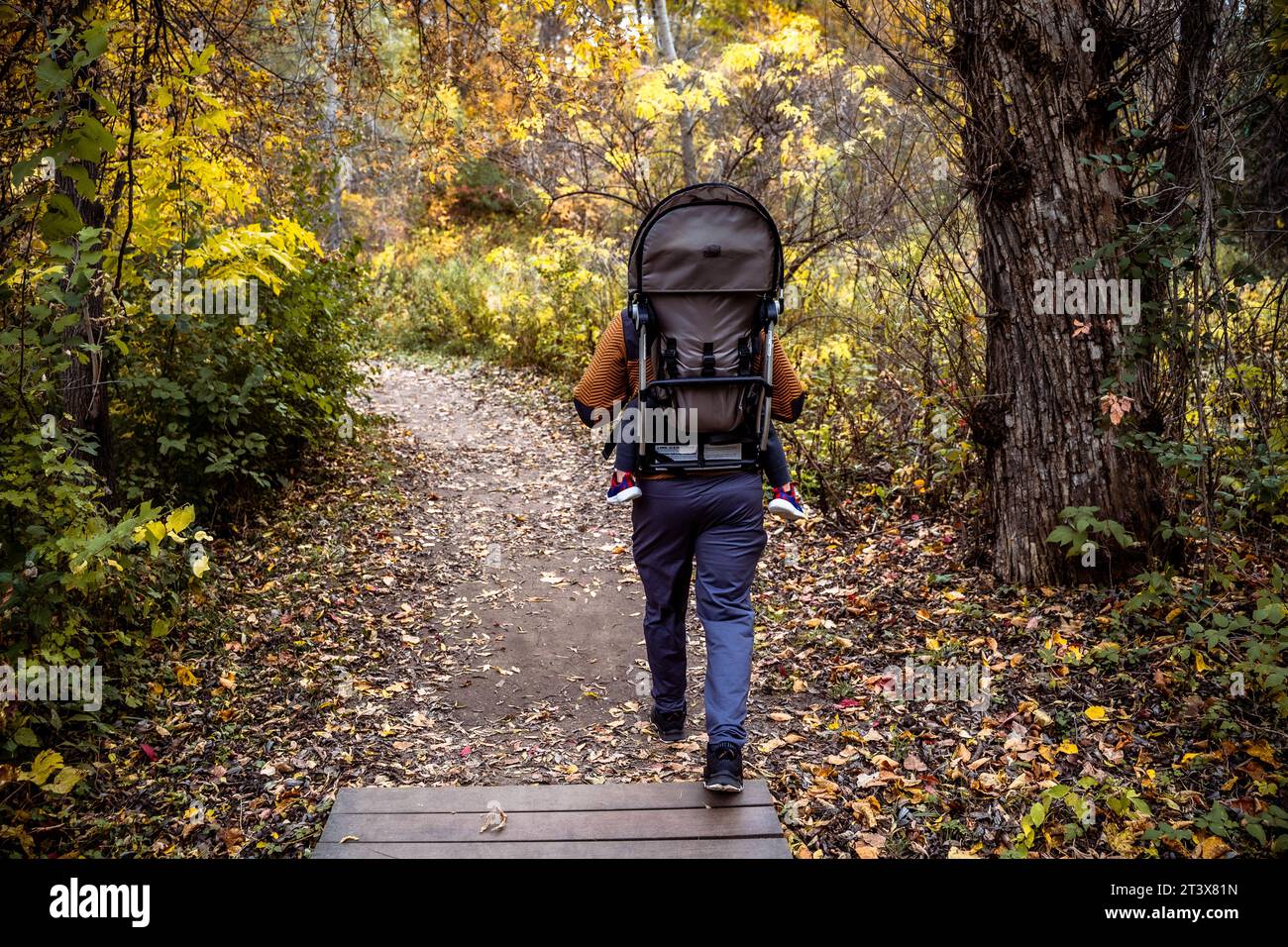 Dad and Son Walking on Tree Covered Trail with Child Carrier Stock ...