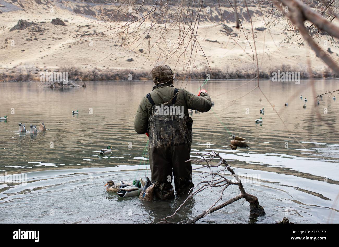 Decoy setup hi-res stock photography and images - Alamy