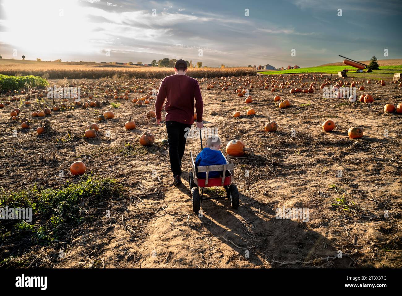 Father Pulling Toddler Son in Red Wagon Through Pumpkin Patch in Fall ...