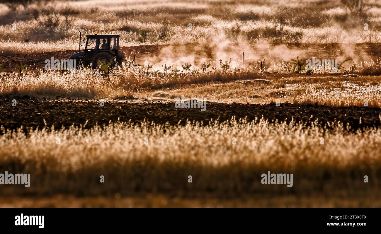 tractor plowing through weeds in Alhambra Stock Photo - Alamy