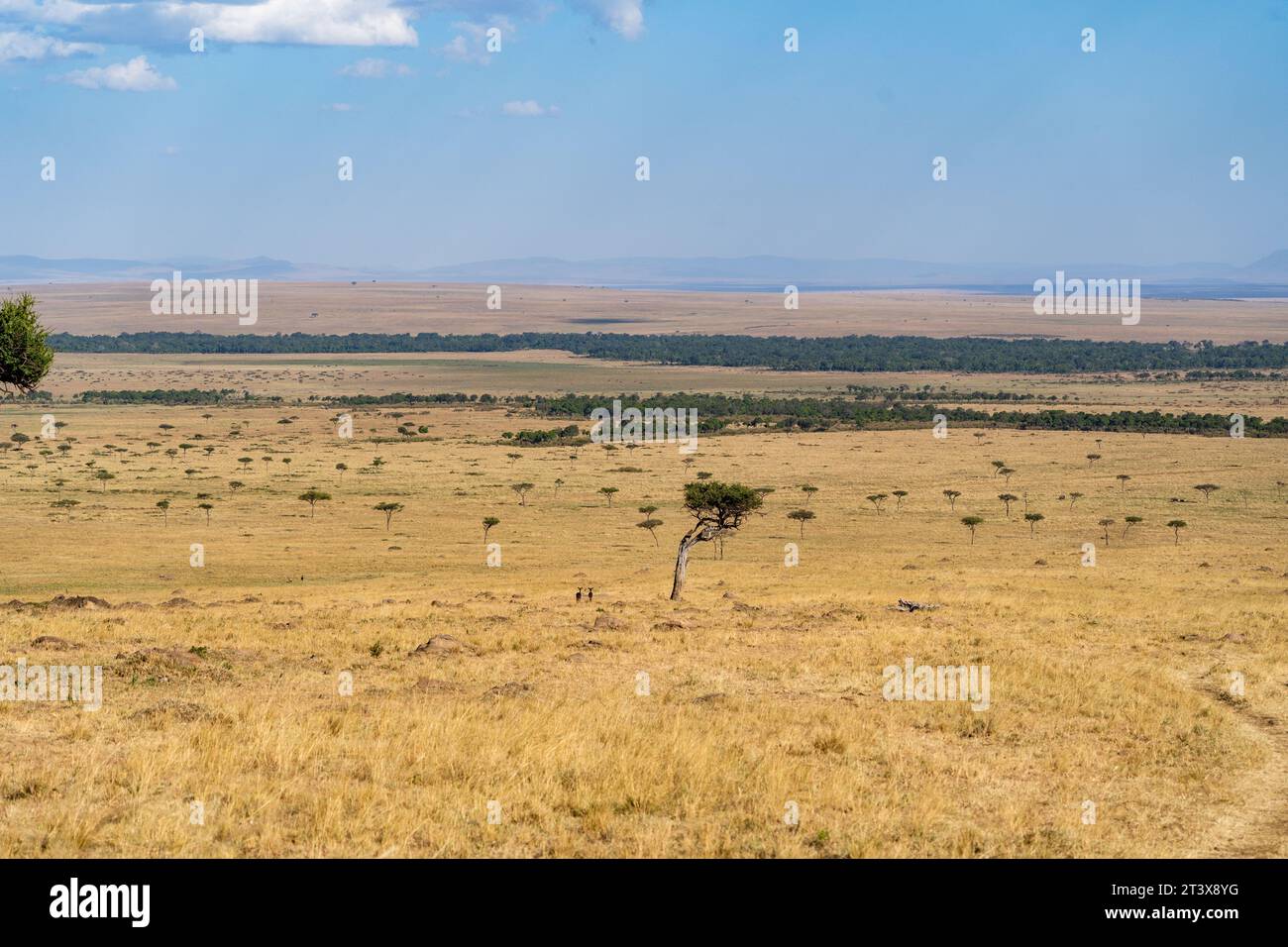 Beautiful scenery of the Mara Triangle in Kenya Stock Photo - Alamy