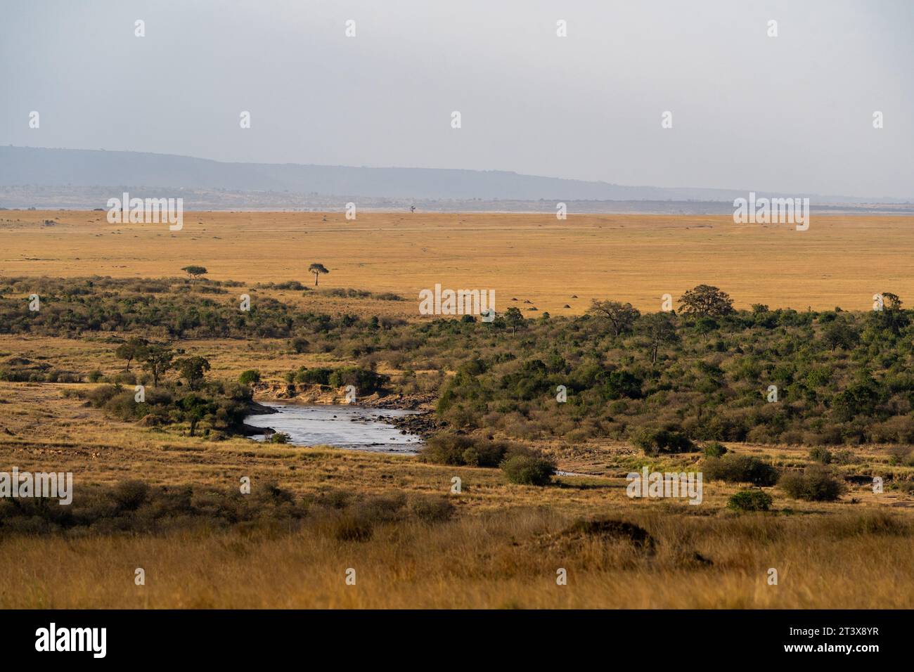 Beautiful scenery of the Mara Triangle in Kenya Stock Photo - Alamy