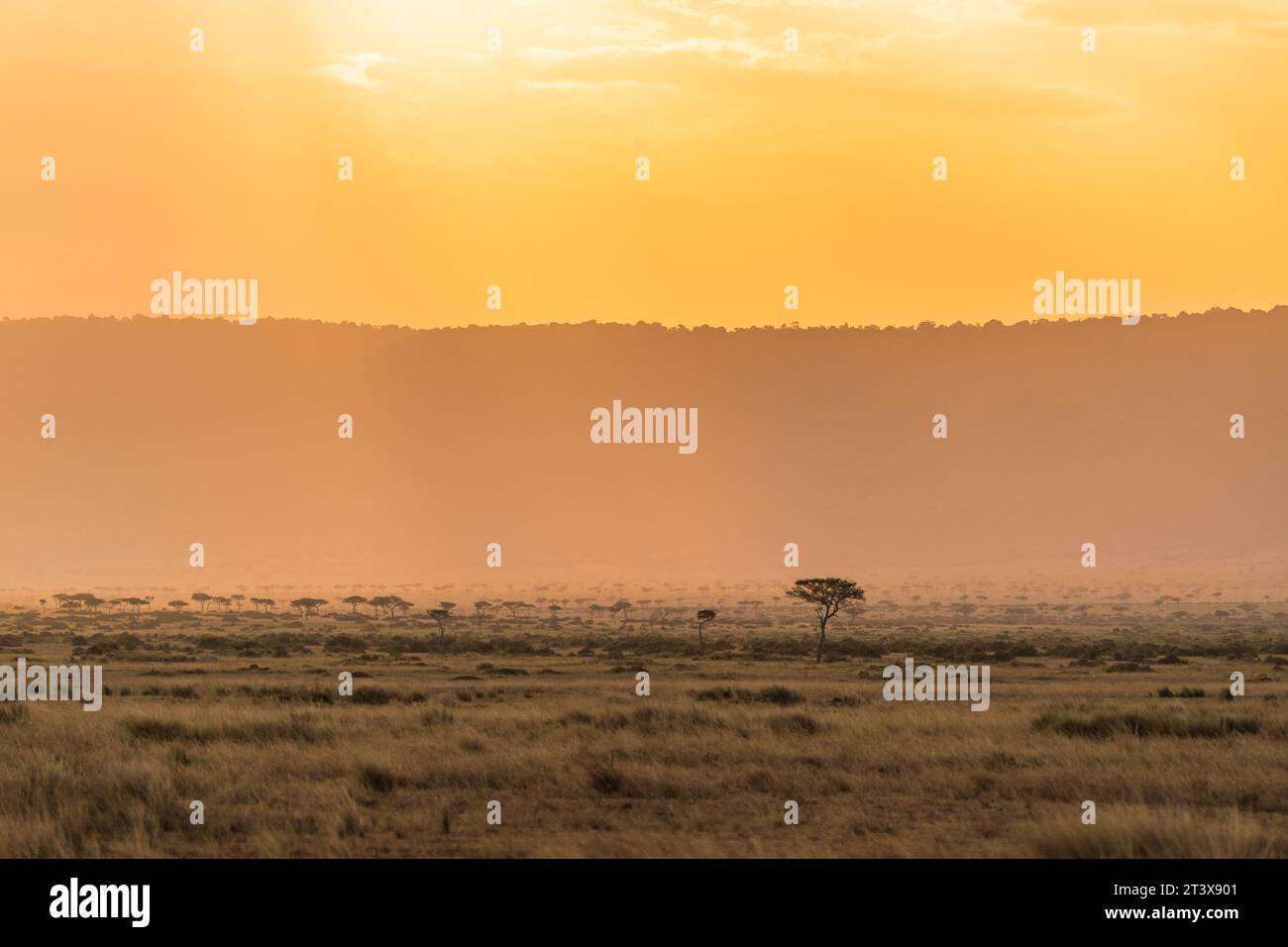 Beautiful scenery of the Mara Triangle in Kenya Stock Photo - Alamy