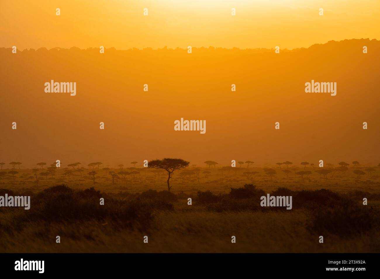 Beautiful scenery of the Mara Triangle in Kenya Stock Photo - Alamy