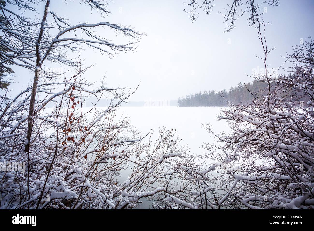 Gilmore pond hi-res stock photography and images - Alamy