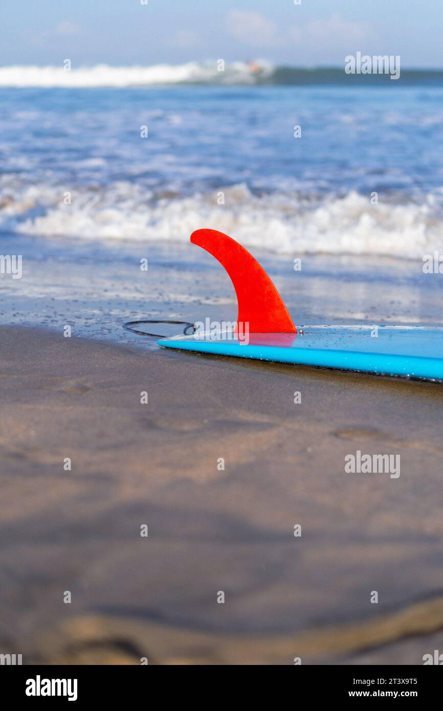 Board fin hi-res stock photography and images - Alamy