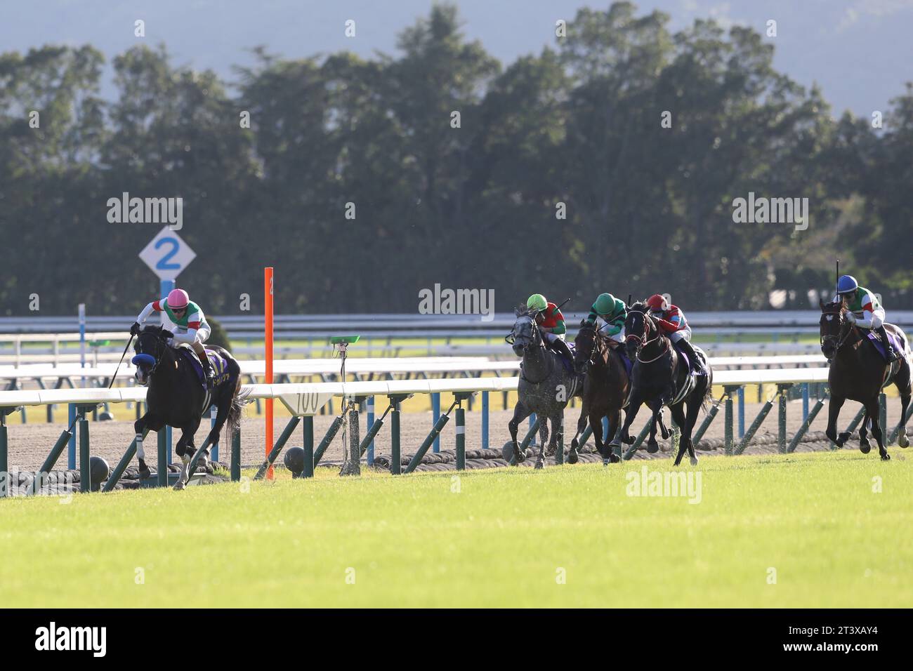 Kyoto, Japan. 22nd Oct, 2023. Durezza and jockey Christophe Lemaire win ...