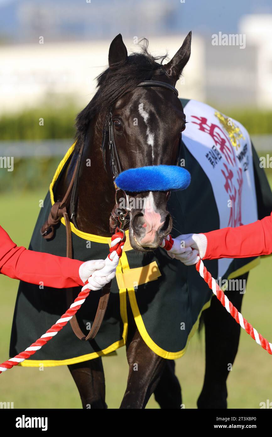 Kyoto, Japan. 22nd Oct, 2023. Durezza won the Kikuka Sho (Japanese St ...