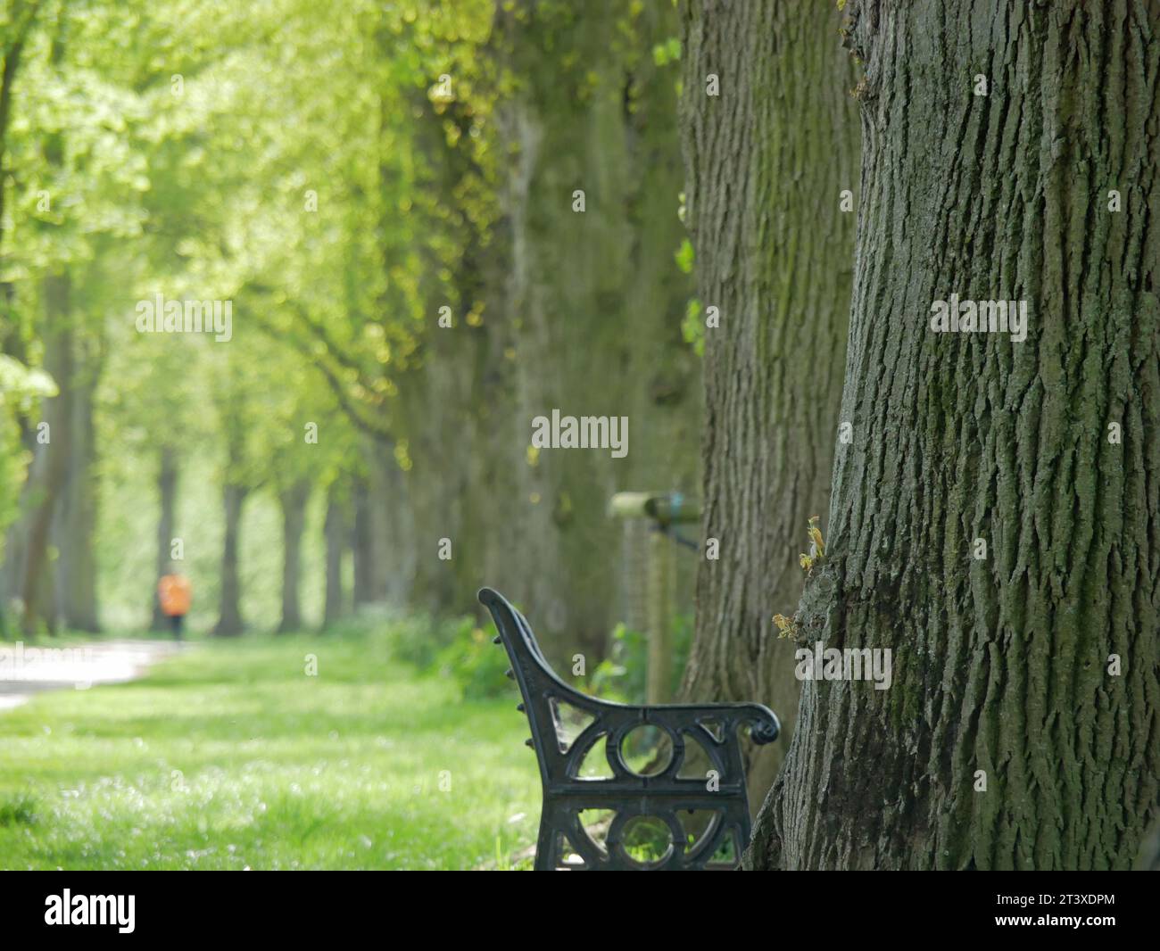 Spring at its best hi-res stock photography and images - Alamy