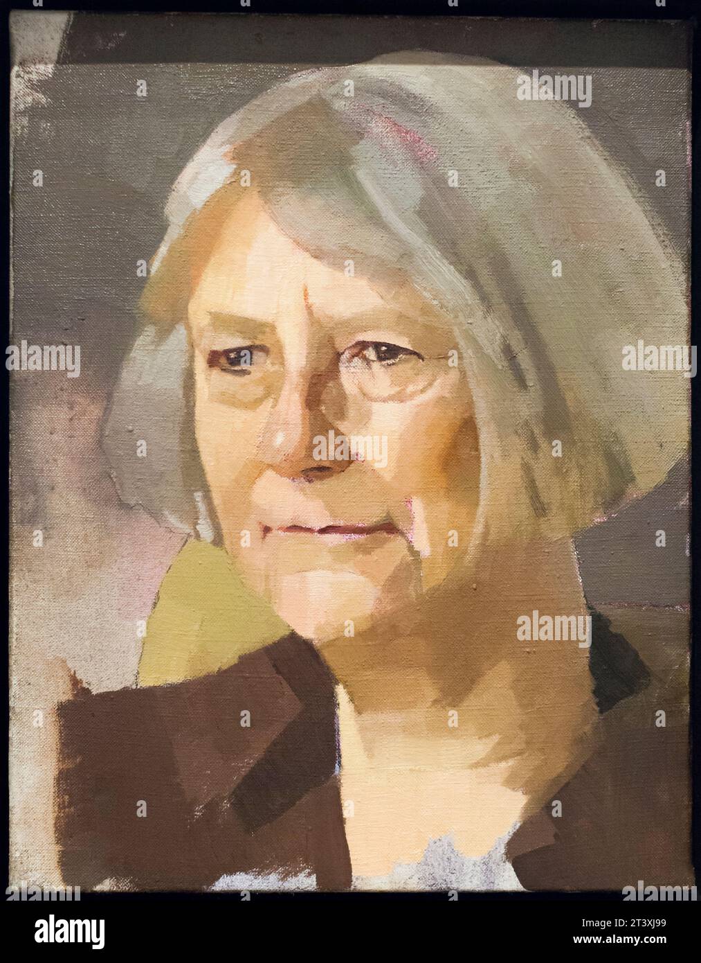 Dame Anne Elizabeth Owers by Diarmuid Kelley Stock Photo - Alamy