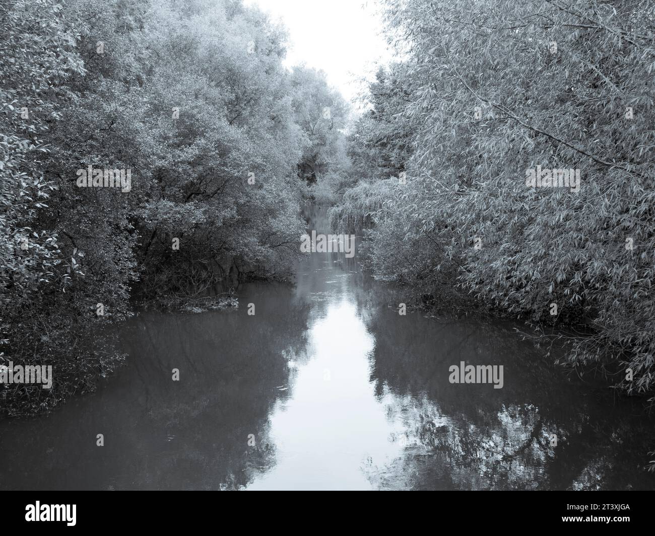 B&W, River Loddon, Winnersh, Reading, Berkshire, England, UK, GB Stock ...