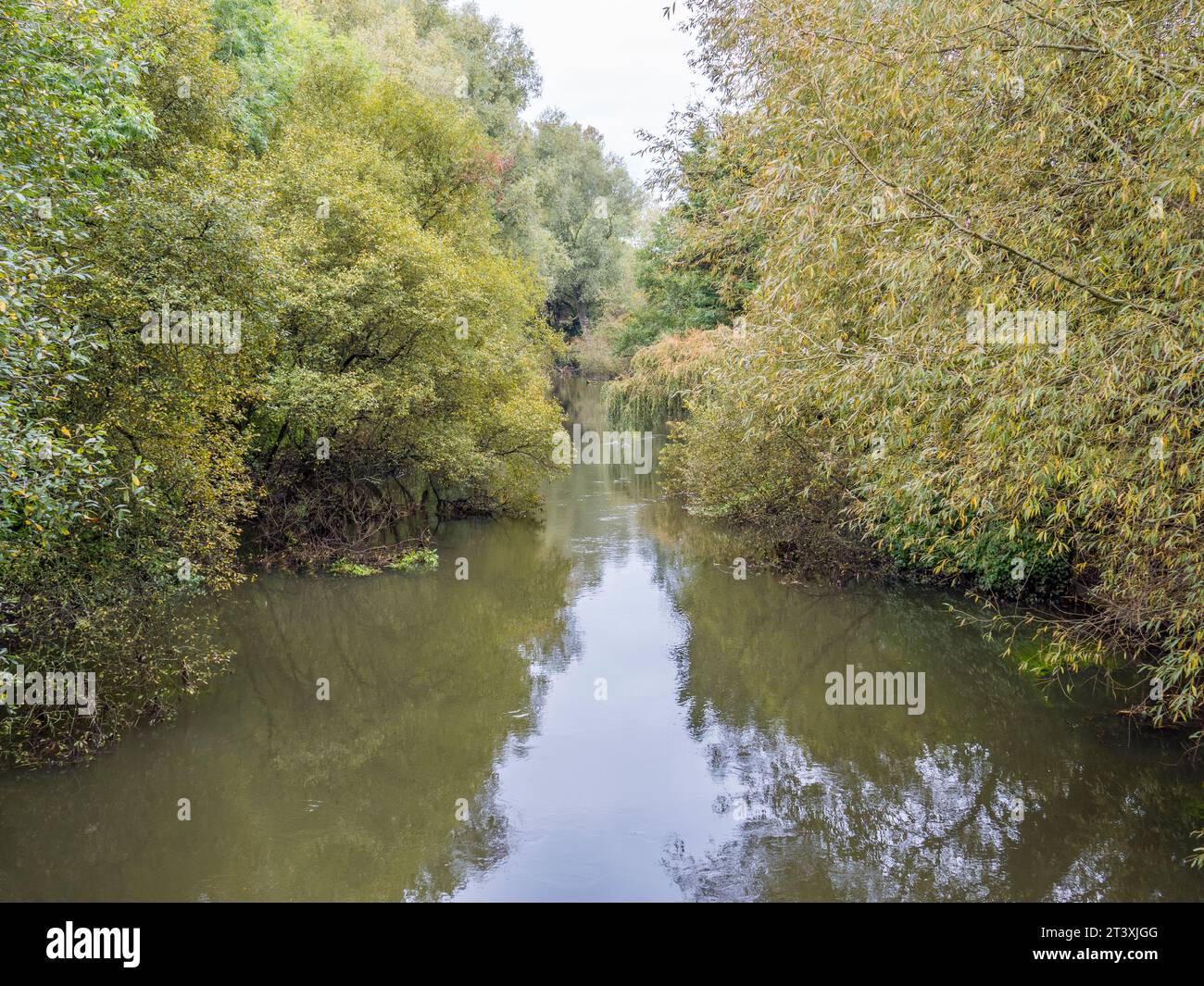 River Loddon, Winnersh, Reading, Berkshire, England, UK, GB Stock Photo ...