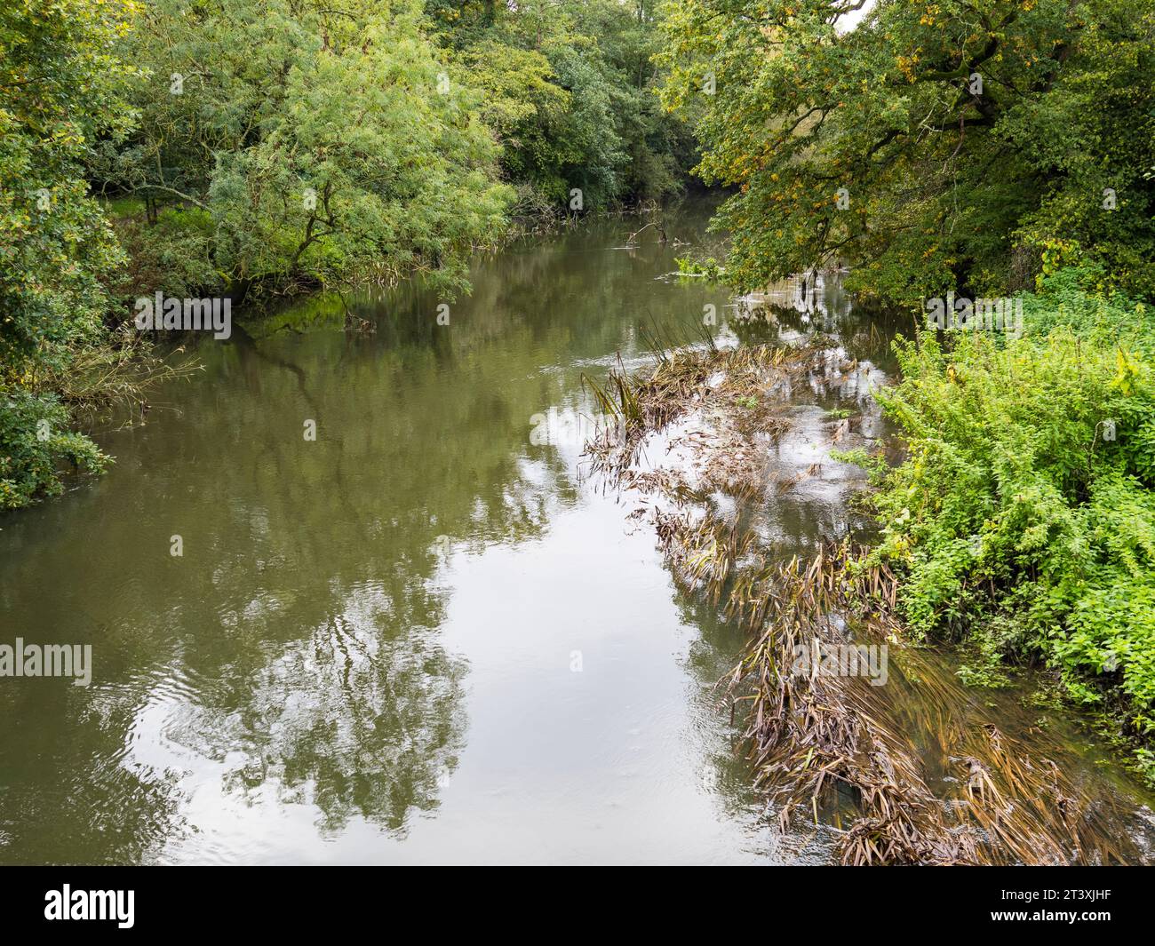 River Loddon, Winnersh, Reading, Berkshire, England, UK, GB Stock Photo ...