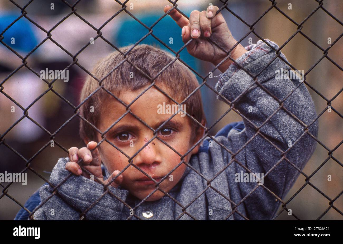 Bulgaria, Sofia . Roma boy behind a fence of their living quarter in a ...