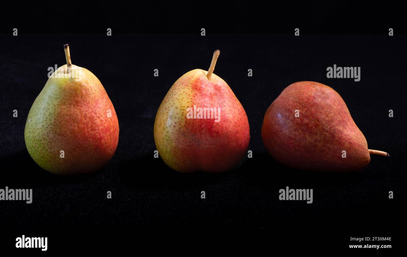 Two upright Forelle pears and one pear lying on its side against a dark ...