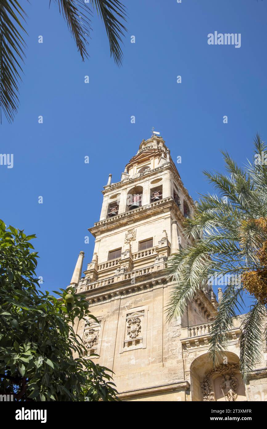 the mezquita is a roman catholic cathedral built on the site of the ...