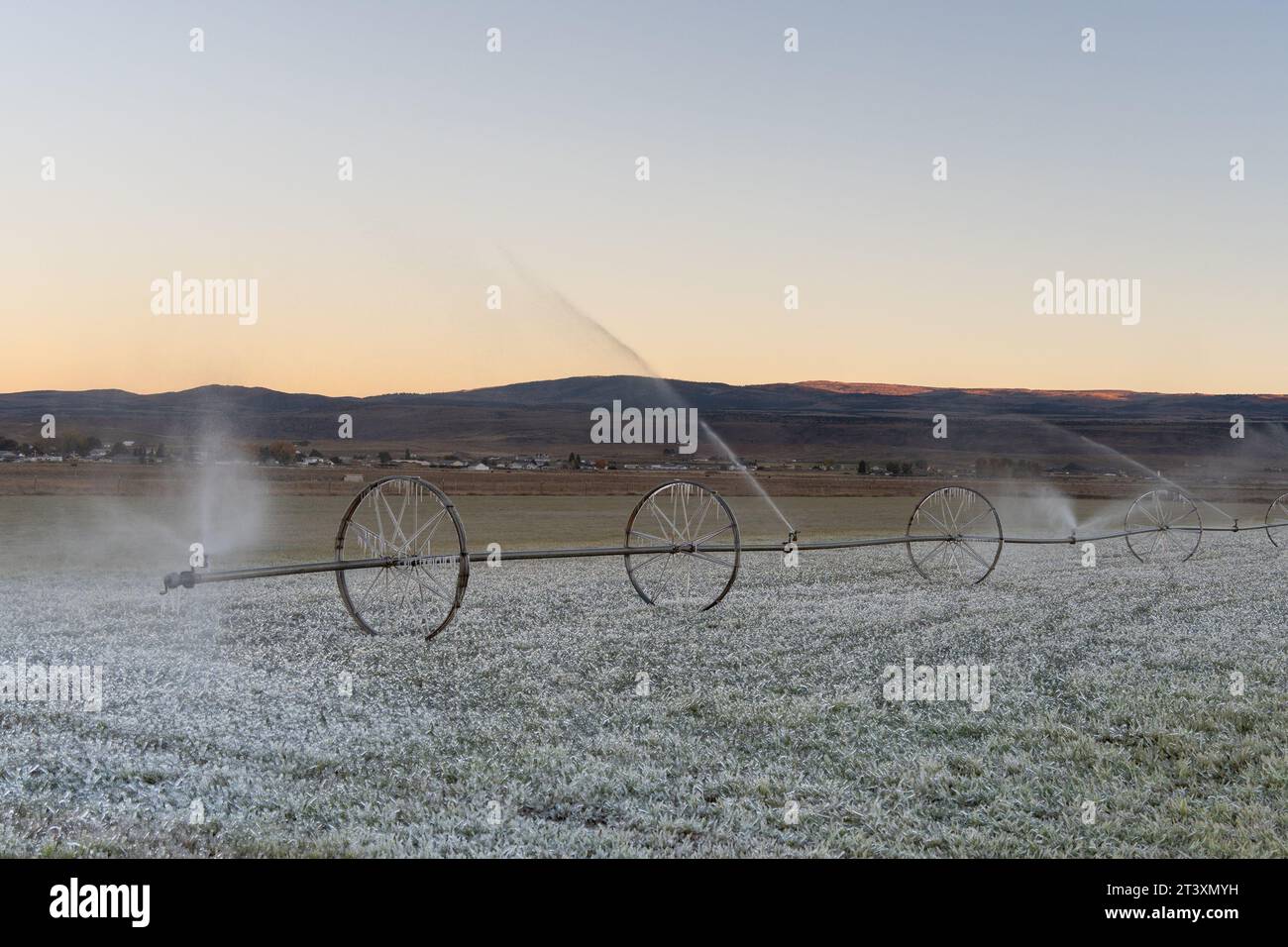 Irrigation System on a sub-freezing morning before dawn Stock Photo - Alamy