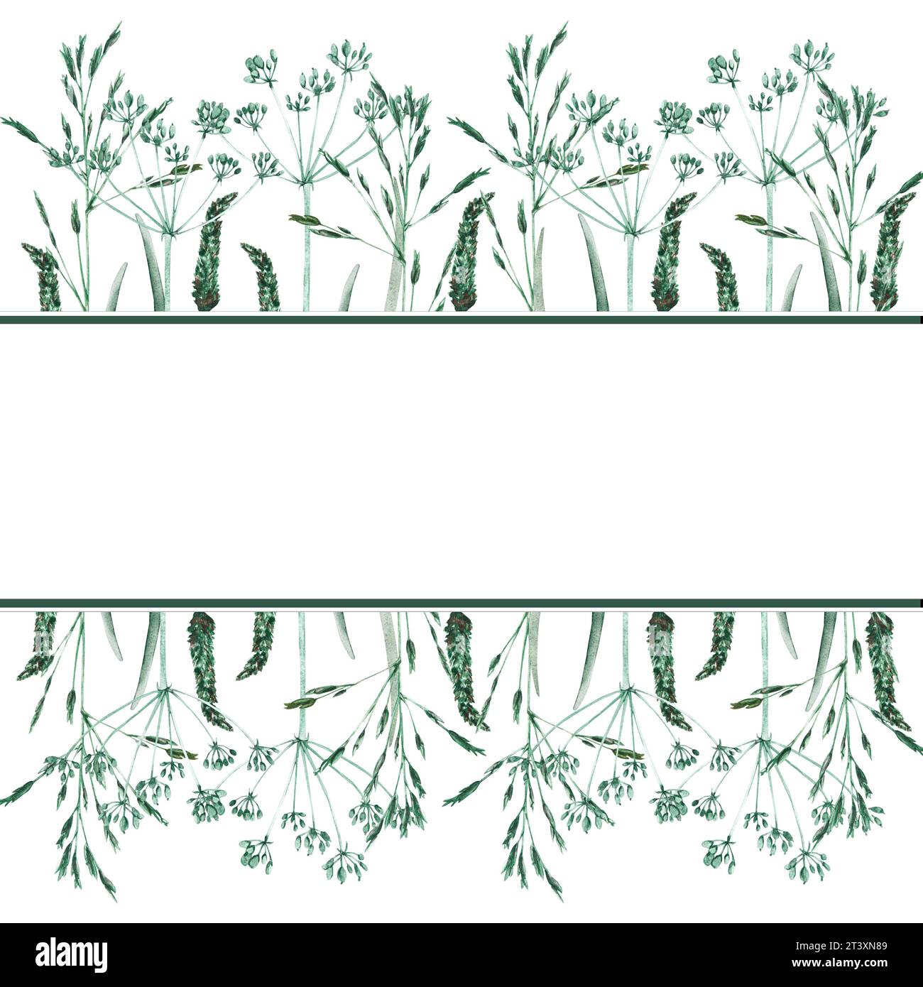 Watercolor illustration with wild and dry grass. Horizontal seamless ...