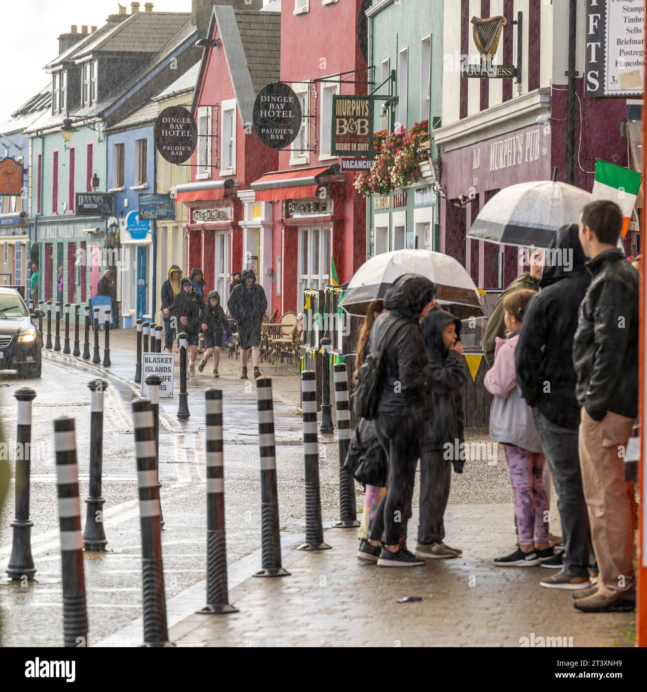 rainy day, Dingle Town, Dingle Peninsula, County Kerry, Ireland, United ...