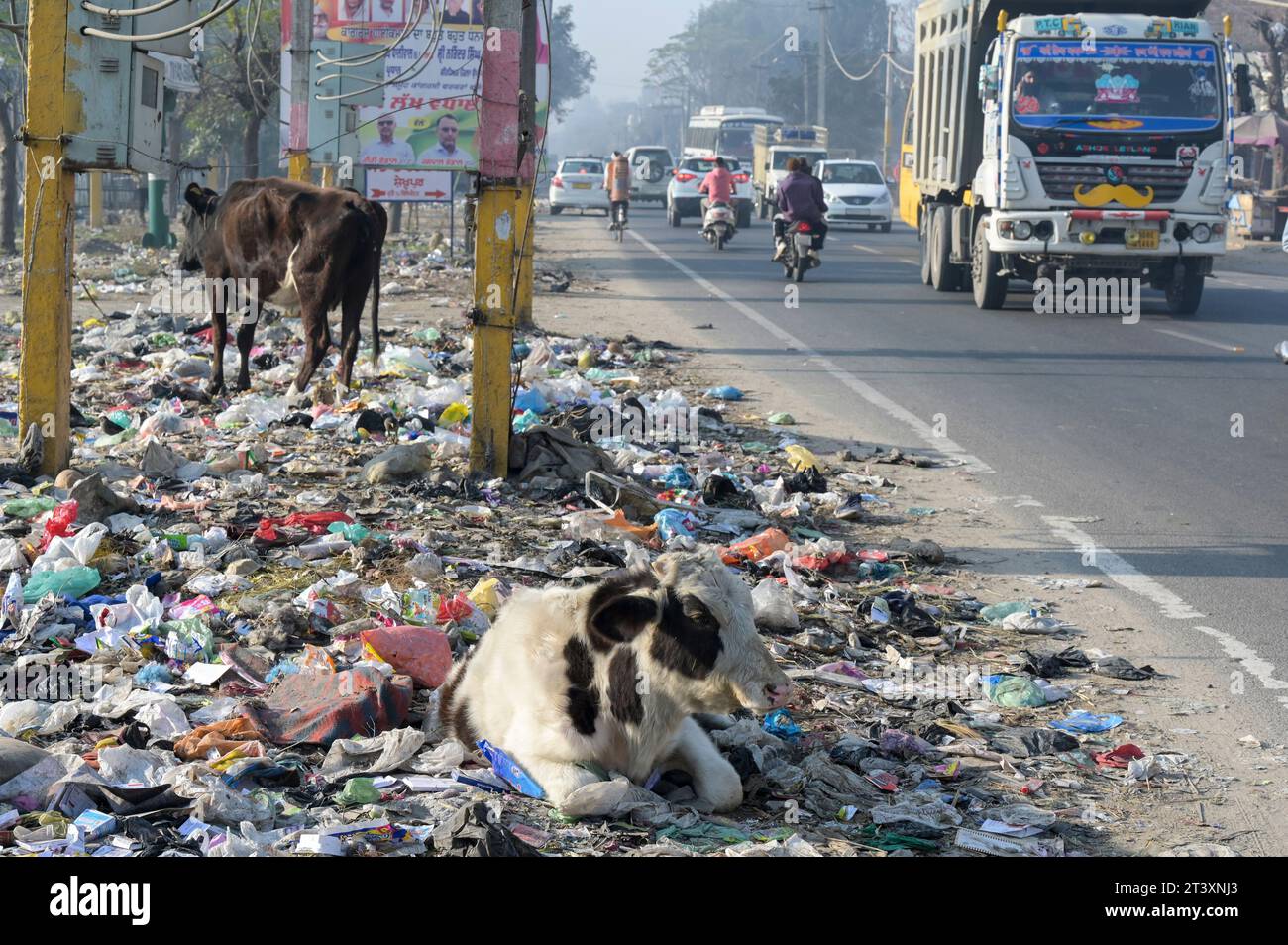 INDIA, Punjab, Kapurthala, plastic and organic waste along the road ...