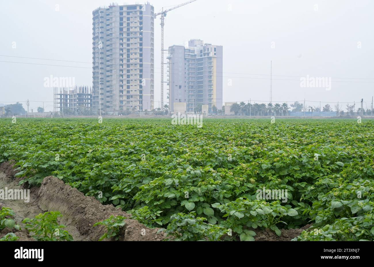 India farm land loss hi-res stock photography and images - Alamy
