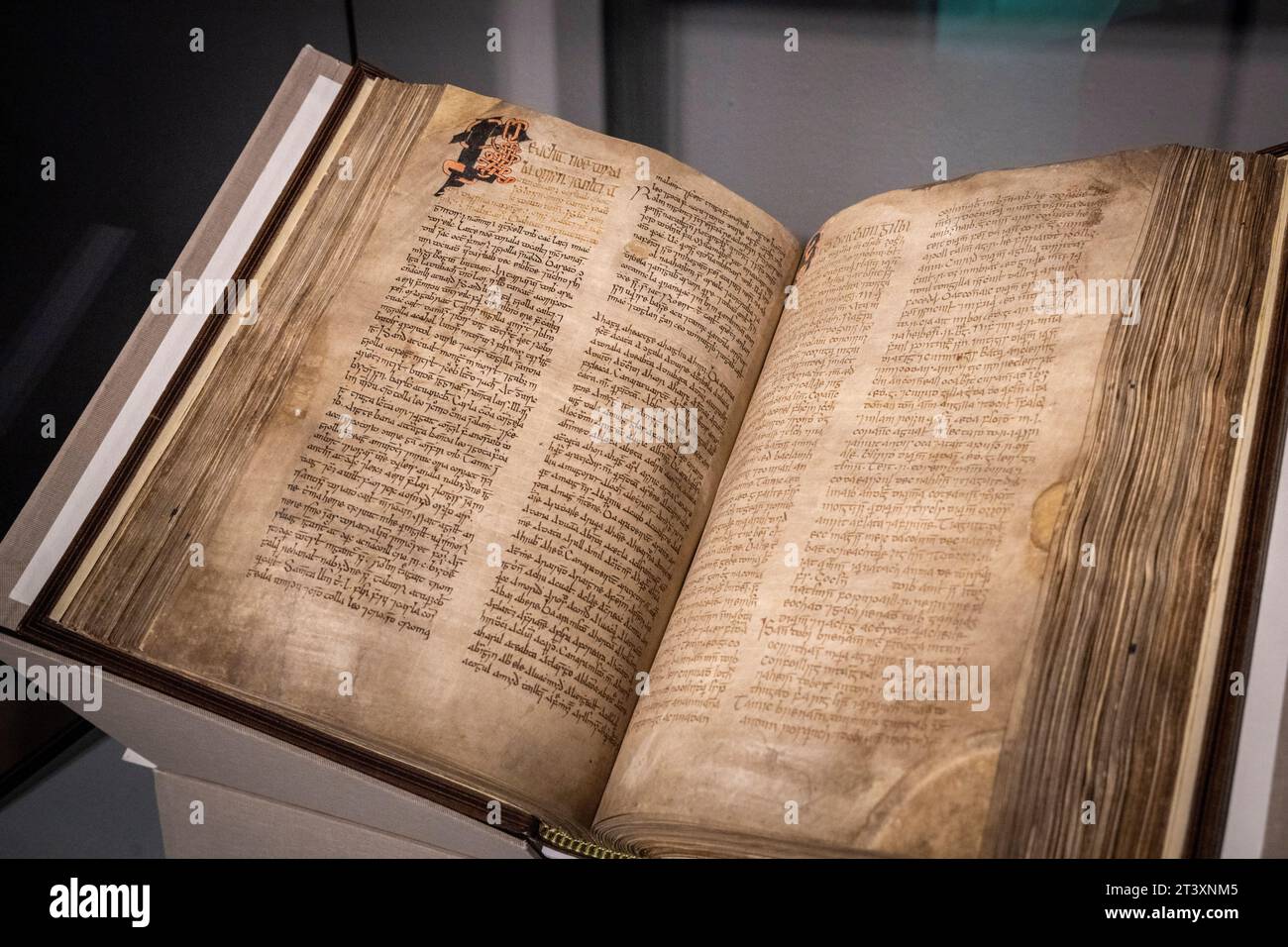 Book of Lismore, Book of Mac Carthaigh Riabhach, 15th century, Cork ...