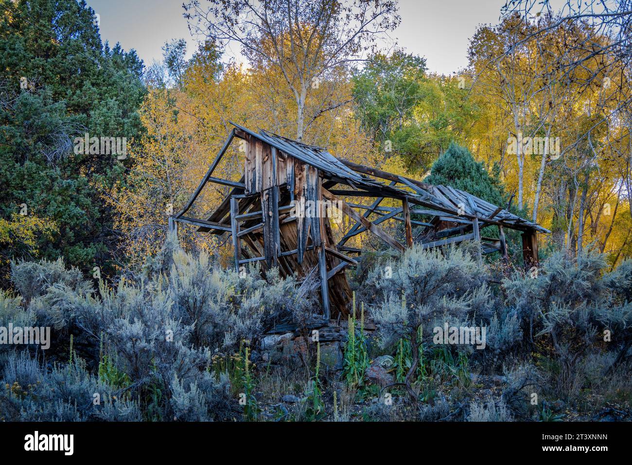Old retro wooden shack hi-res stock photography and images - Alamy
