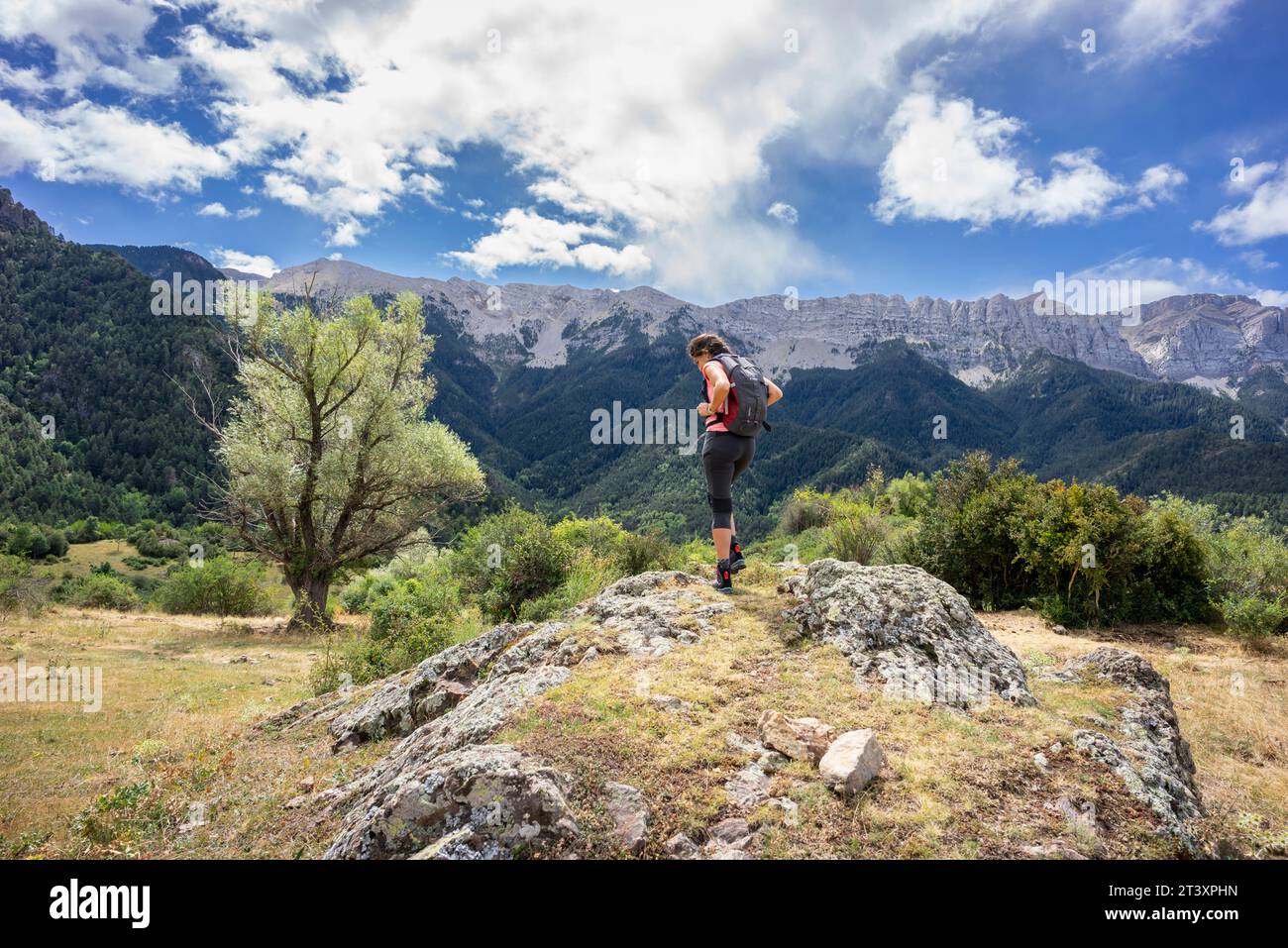 Cadi moixero national park hi-res stock photography and images - Alamy