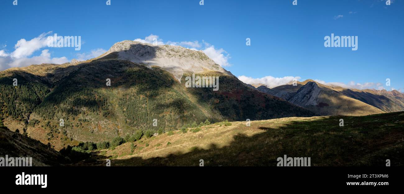 Pico de la planta hi-res stock photography and images - Alamy