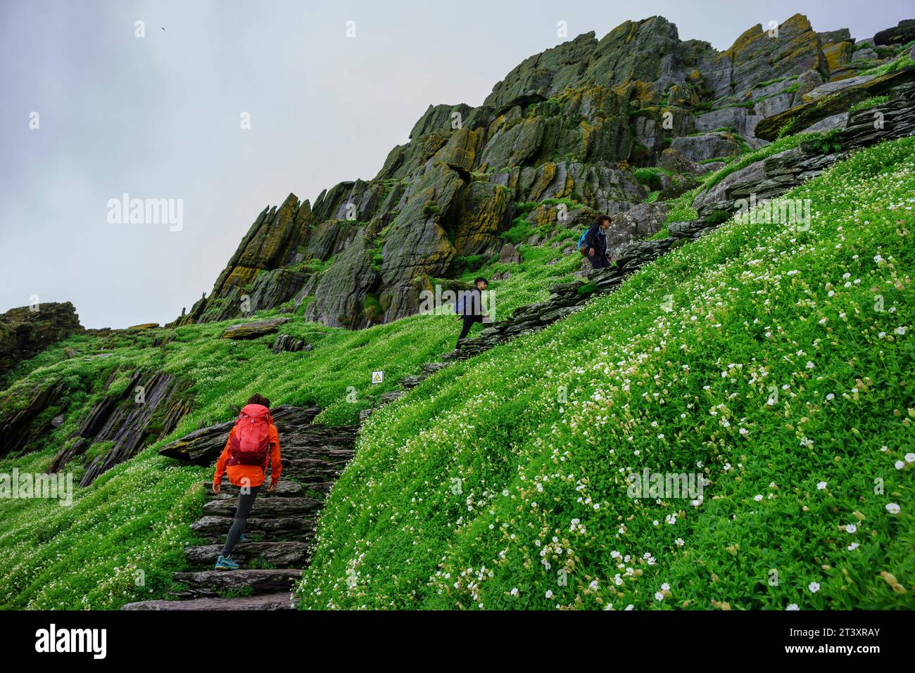 visitors on the steep path up to the monastery, Skellig Michael island ...
