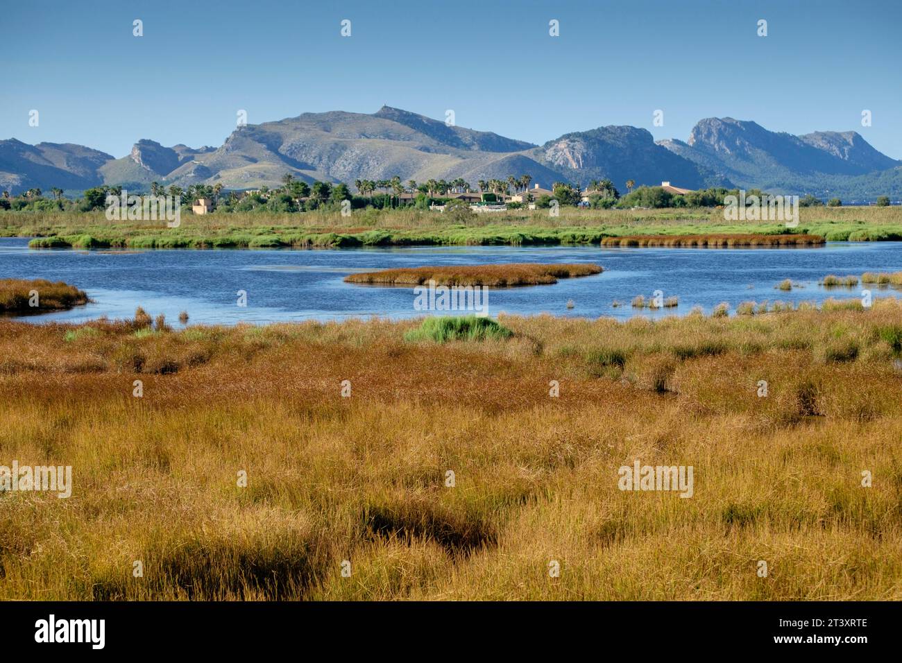 Reserva natural de l'Albufereta, bahia de Pollensa ,Mallorca, balearic ...