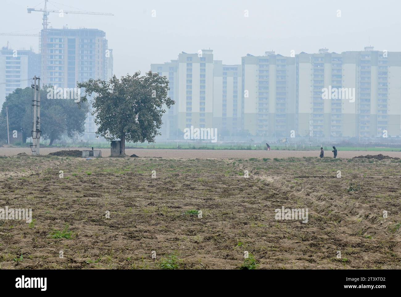 Loosing agricultural land hi-res stock photography and images - Alamy