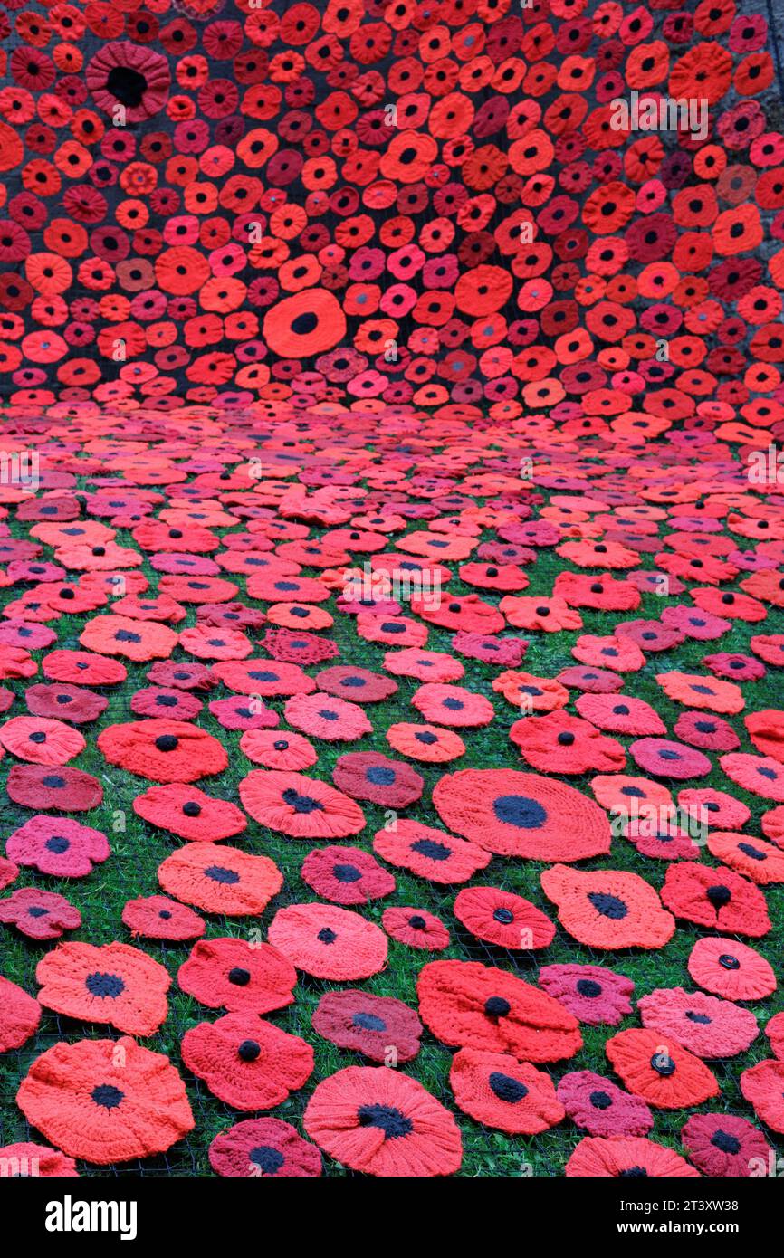 Remembrance day poppy cascade hi-res stock photography and images - Alamy