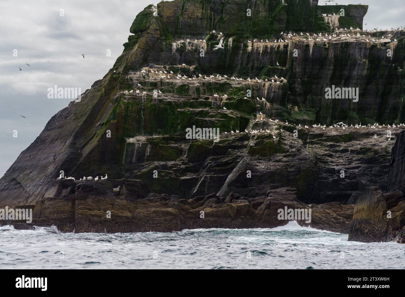 Skellig rock small hi-res stock photography and images - Alamy